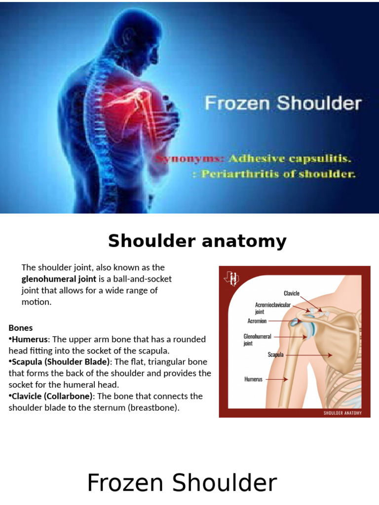 Understanding Frozen Shoulder Anatomy | PDF | Shoulder | Diseases And ...