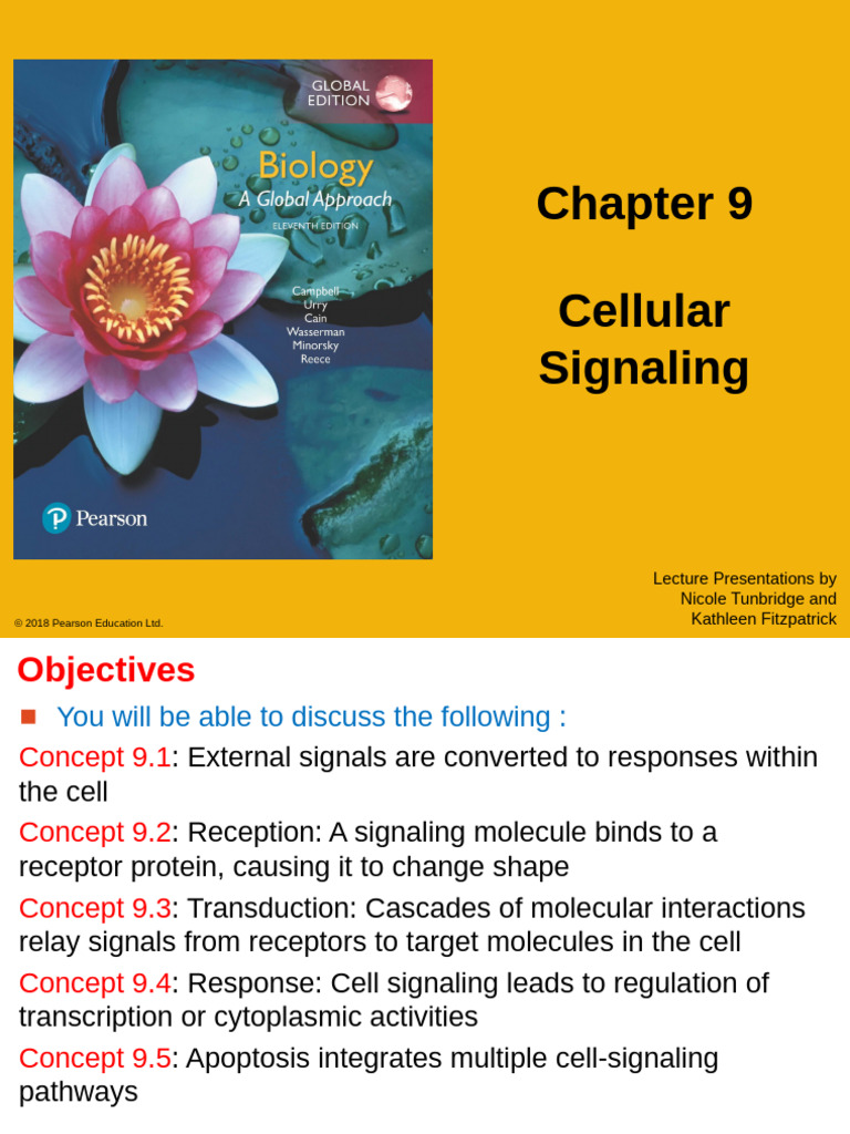 Chapter 9 Cellular Signaling | PDF | Cell Signaling | Signal Transduction