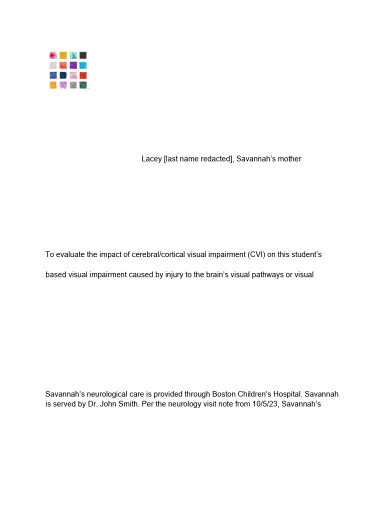 Savannahs CVI Evaluation Report | PDF | Attention | Learning