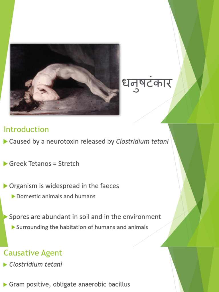 Tetanus | PDF | Medical Specialties | Immunology