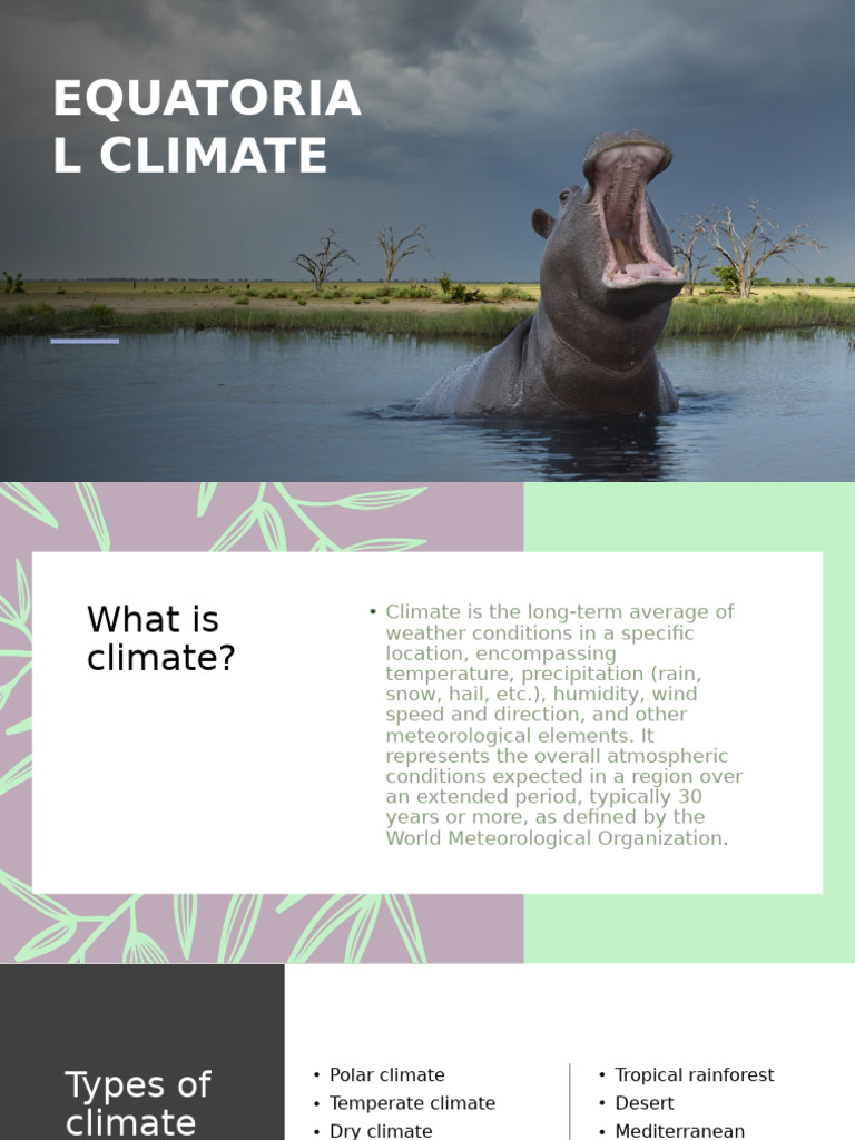 Understanding Equatorial Climate | PDF | Tropics | Precipitation