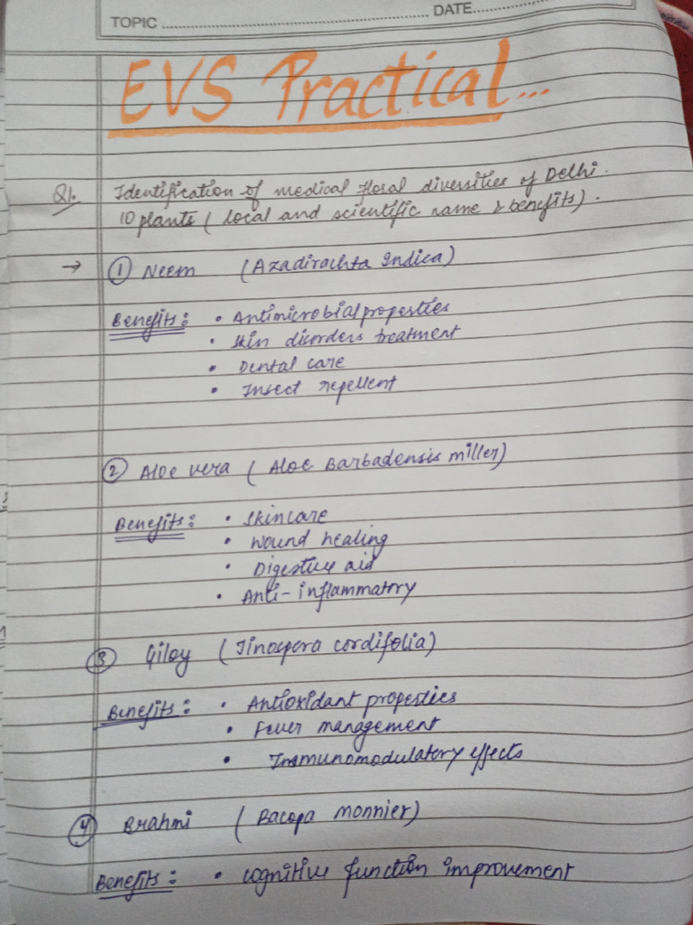 Evs Practical Siddhi Jain | PDF