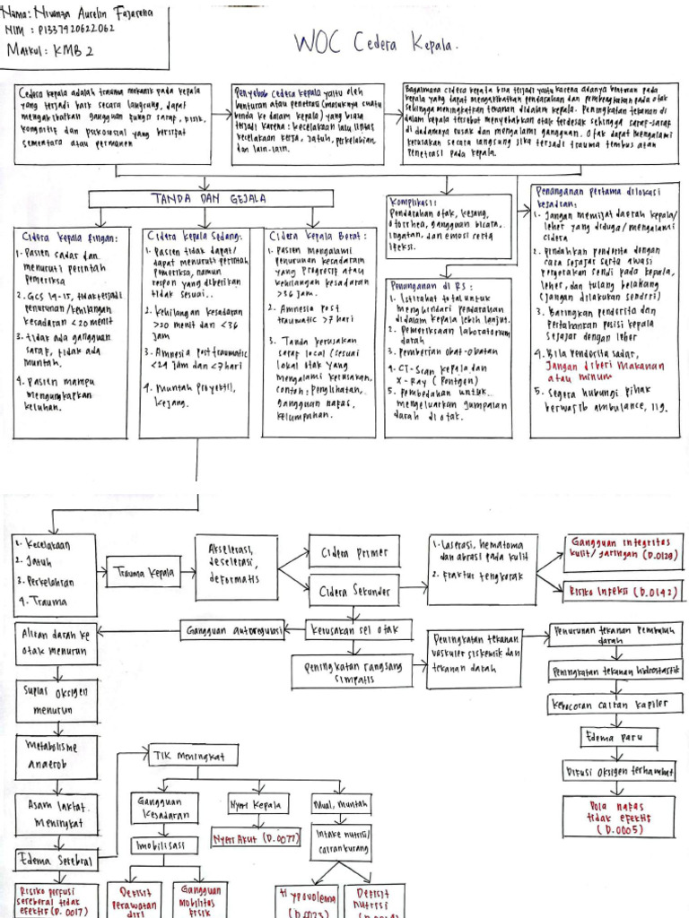 062 3A3 Nivanza Aurelin Fajarena | PDF