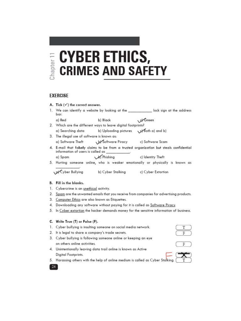 Cyber Ethics and Safety Guide | PDF | Cybercrime | Internet
