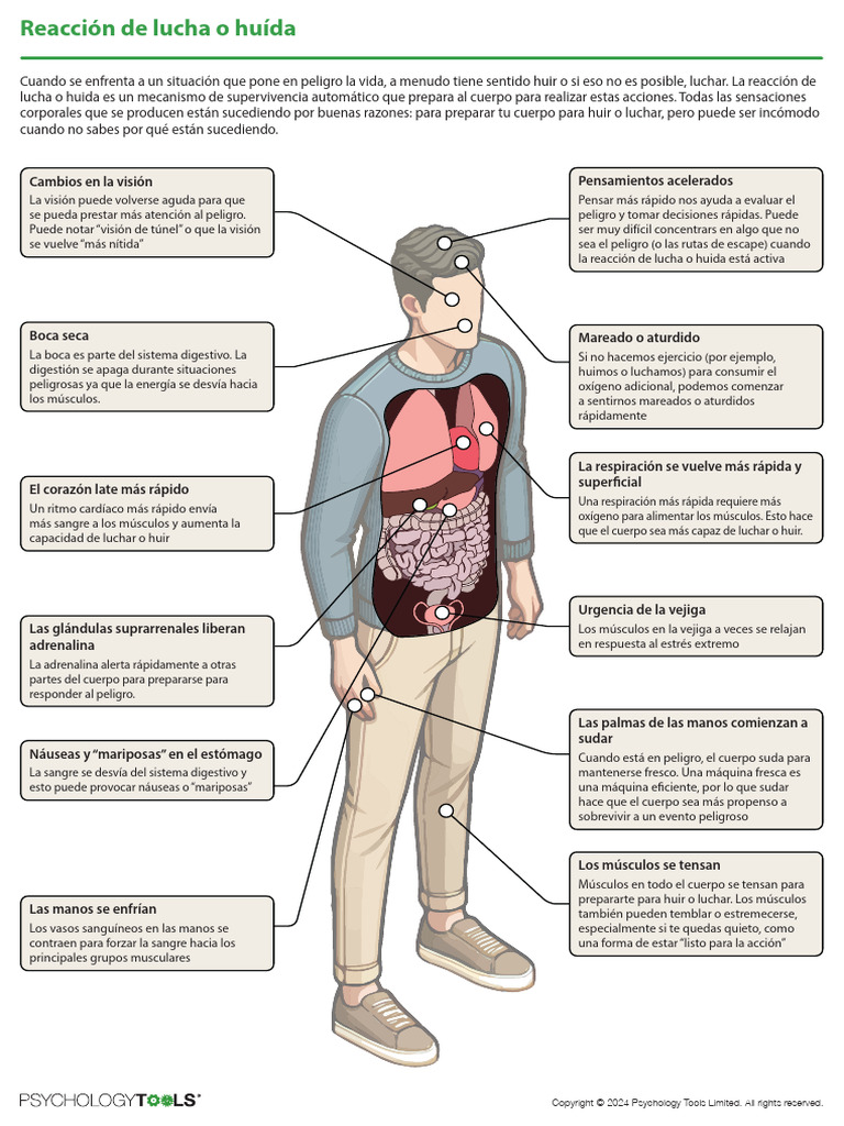 fight-or-flight-response_lang=spa_format=client-version | PDF ...