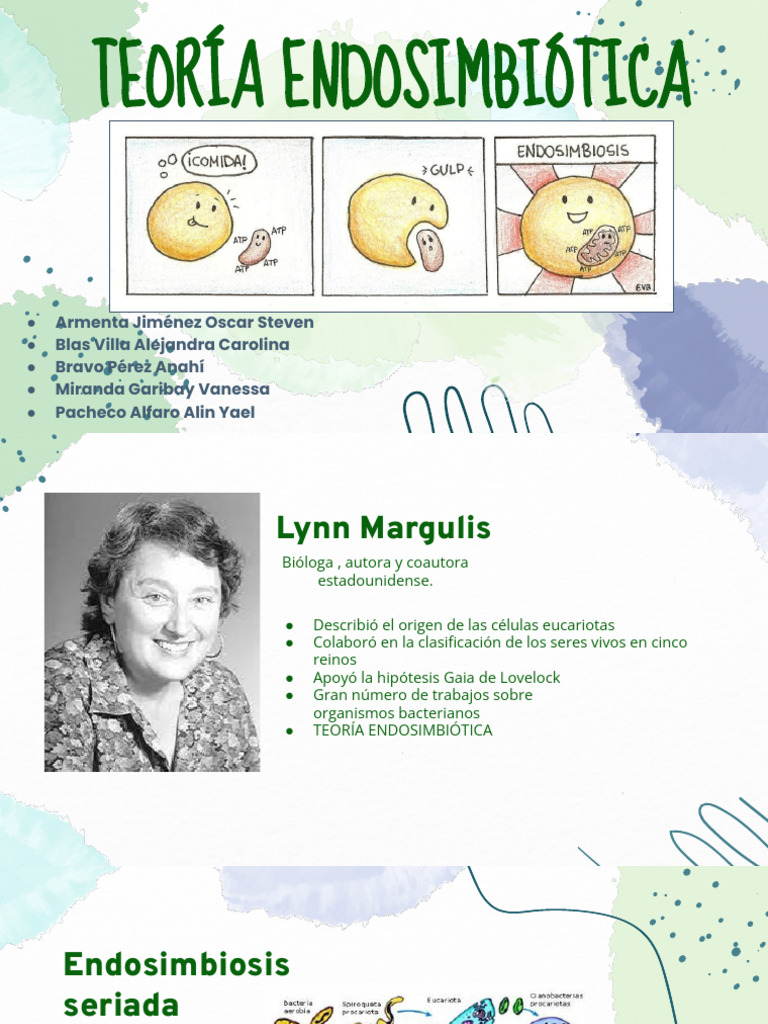Teoría Endosimbiótica para Niños | PDF | Biología Celular | Biología