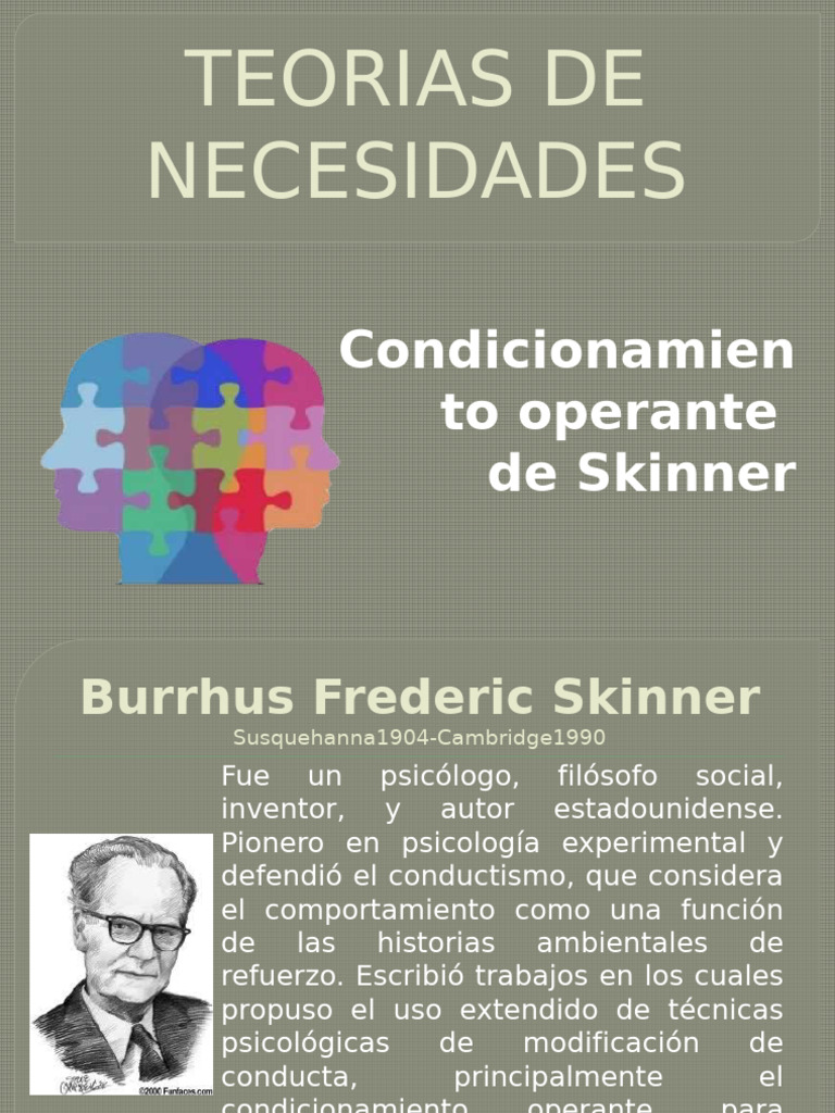 Condicionamiento Operante Skinner | PDF | Reforzamiento | Conceptos ...
