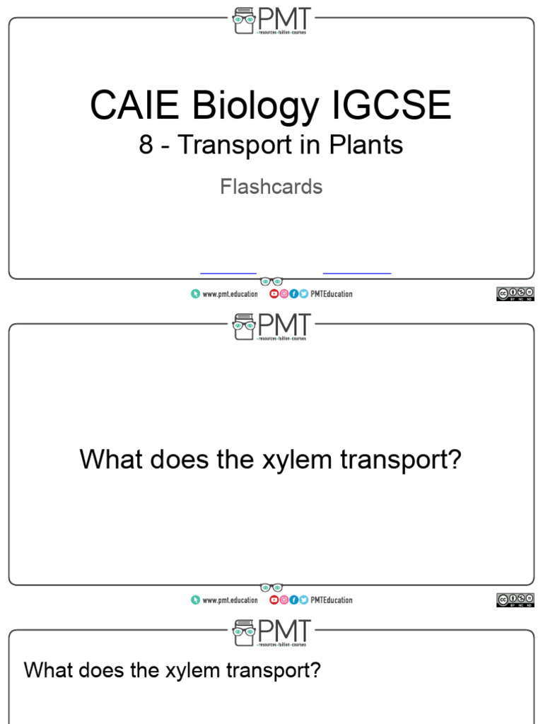 Plant Transport Systems Flashcards | PDF | Stoma | Physiology