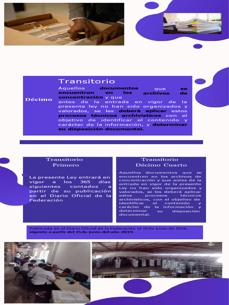 Décimo Transitorio | PDF