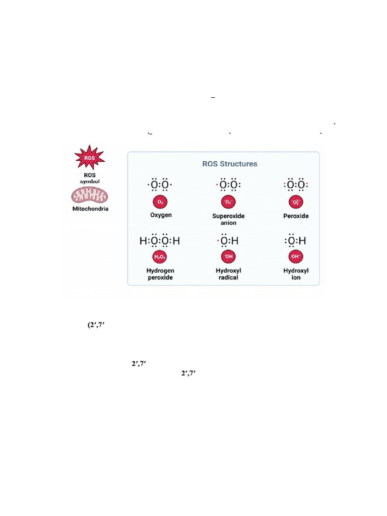 ROS Assay Protocol - 08-11-24 | PDF | Reactive Oxygen Species | Radical ...