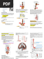 Anatomia, Irrigacion, Inervación Del Esofago y Estomago | PDF ...