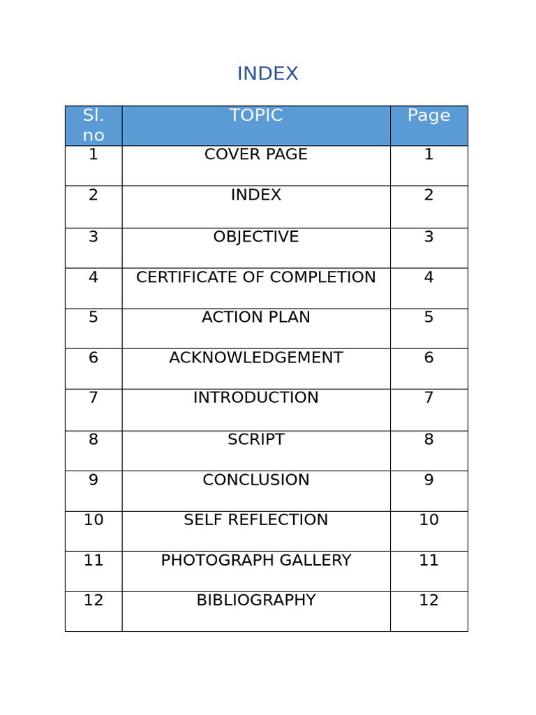 Comprehensive Project Report Index | PDF