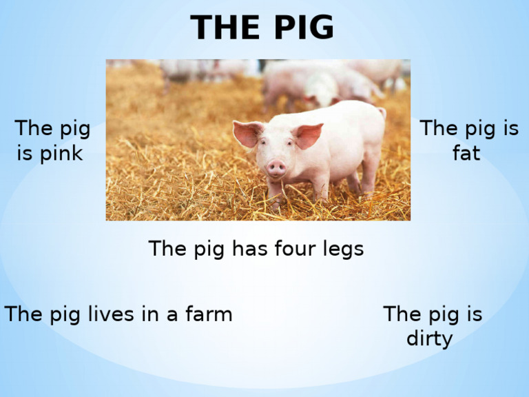 The Pig | PDF