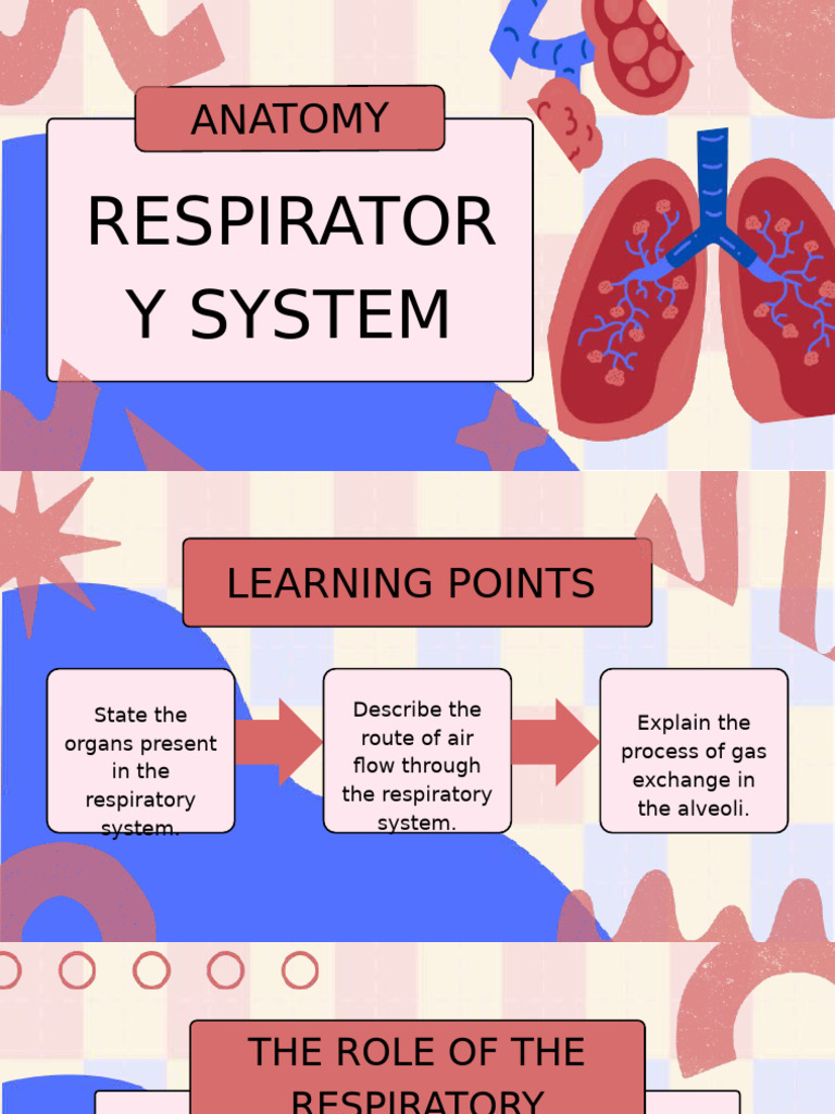 Anatomy and Function of the Respiratory System | PDF