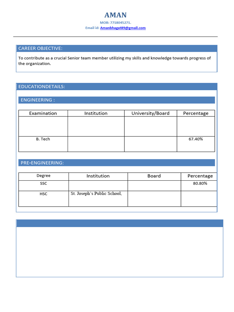 Aman_CV_27_Nov_2023 | PDF | Visual Basic For Applications | Databases