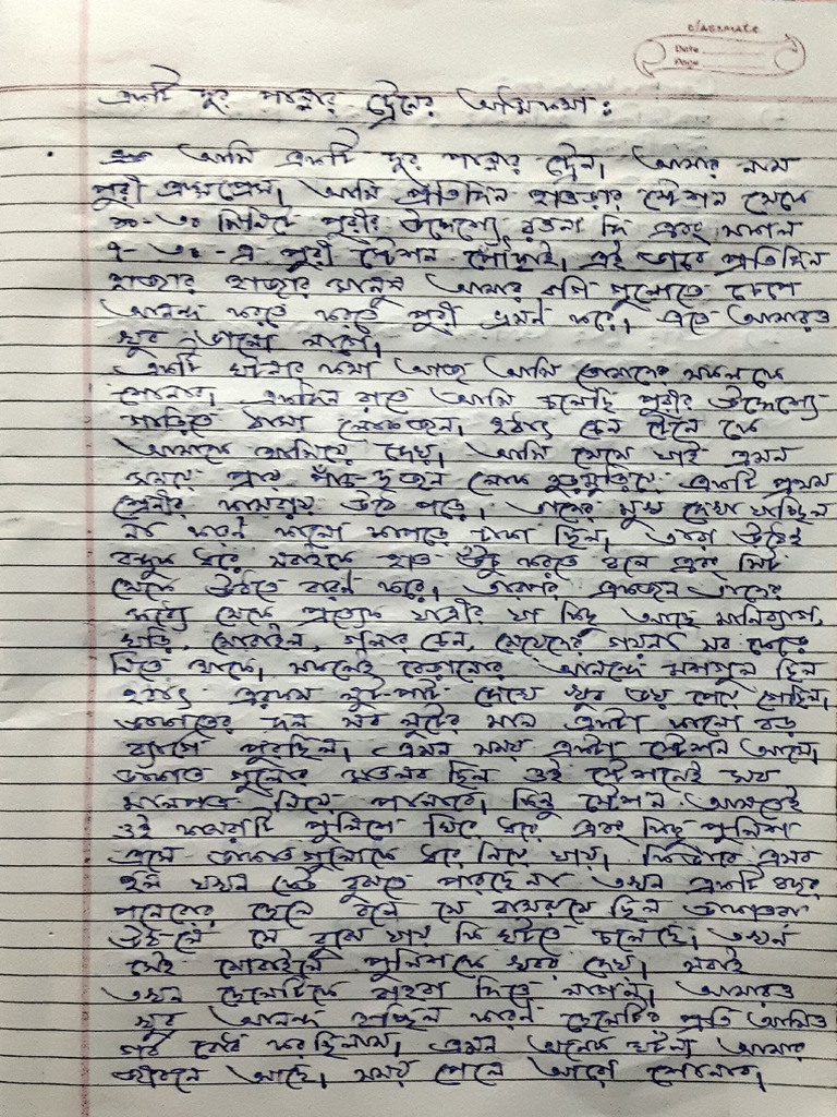 Bengali Assignment ? | PDF