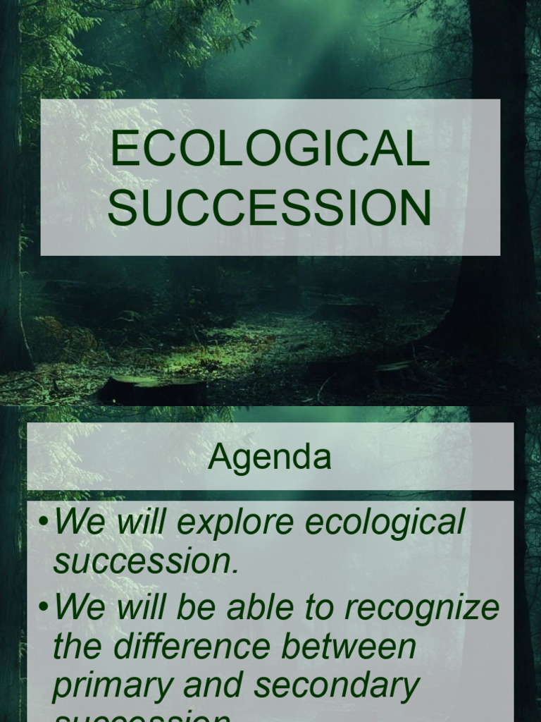 Ecological Succession | PDF | Habitat | Agriculture