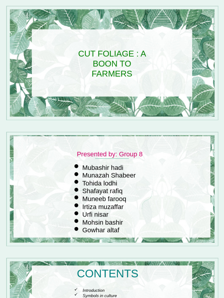 Cut Foliage: Cultivation and Benefits | PDF | Plants | Leaf