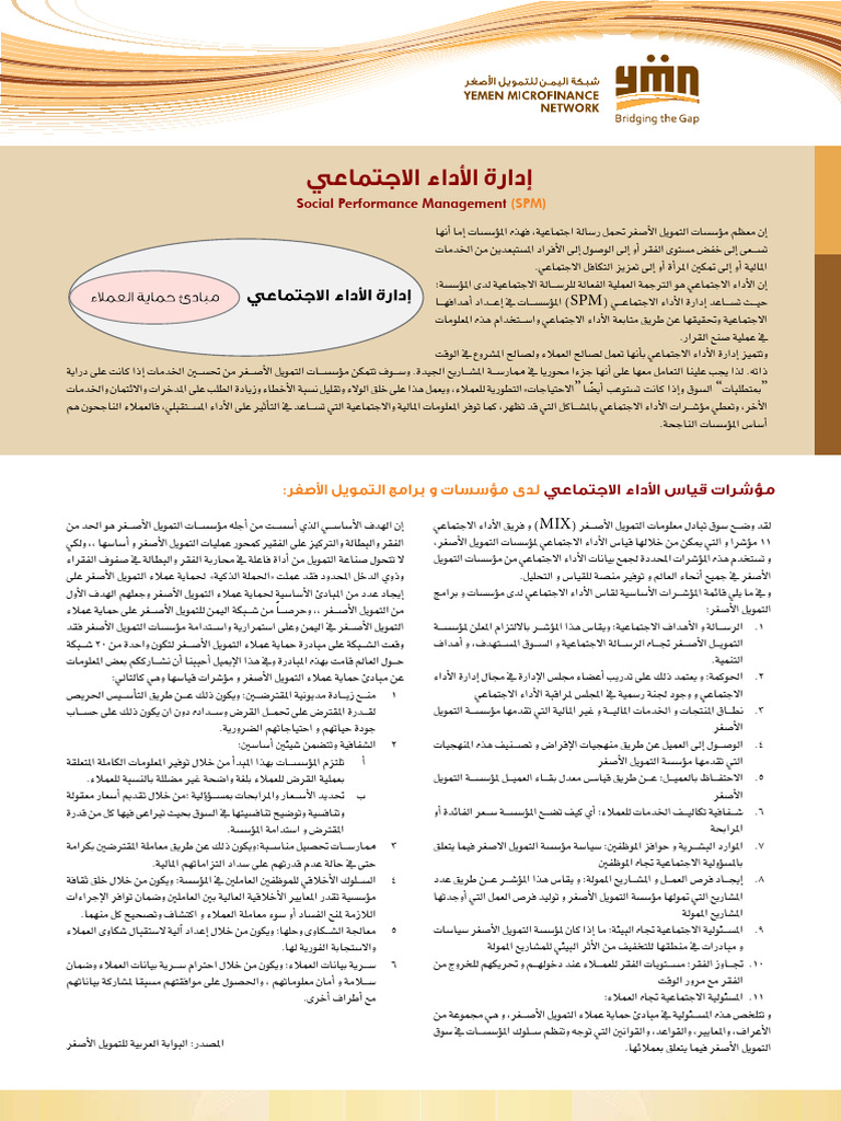 Social Performance Management 2 - 2 | PDF
