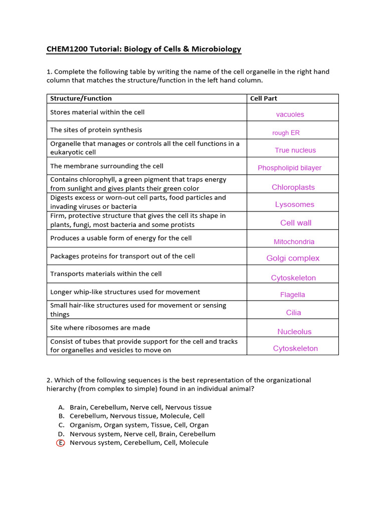 Tutorial - Biology of Cells & Microbiology | PDF | Cell (Biology ...