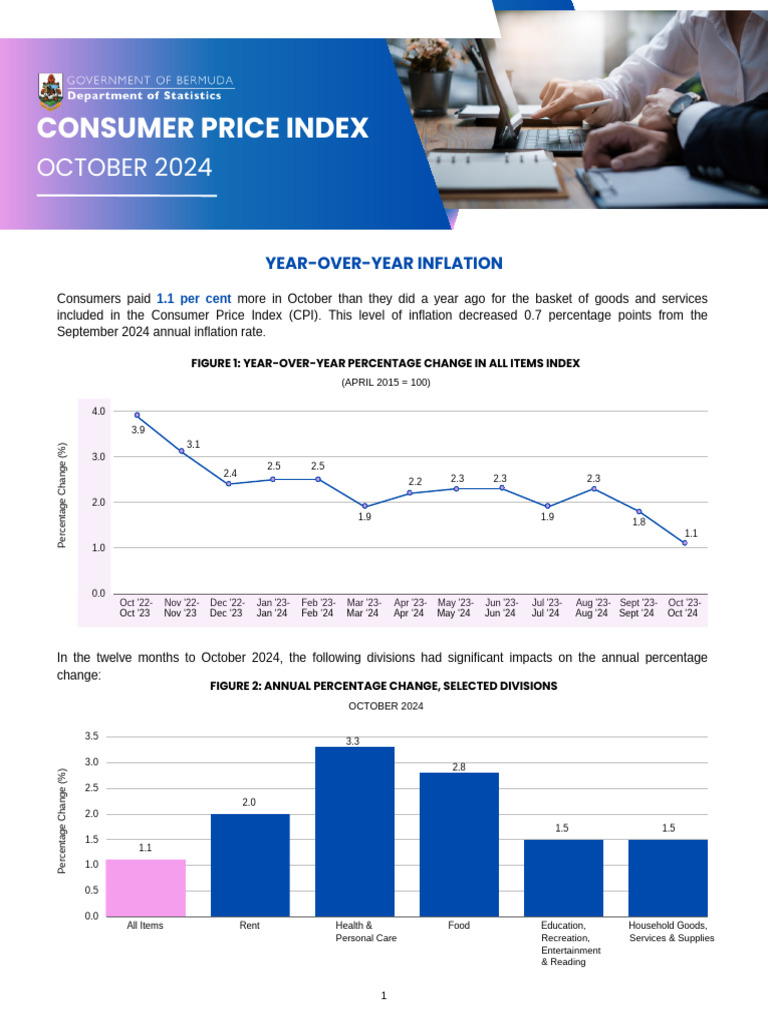 October 2024 CPI Report | PDF | Cost Of Living | Consumer Price Index