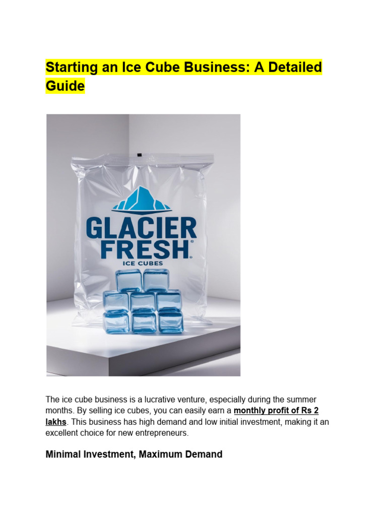 Ice Cube Business Guide | PDF | Brand | Private Sector