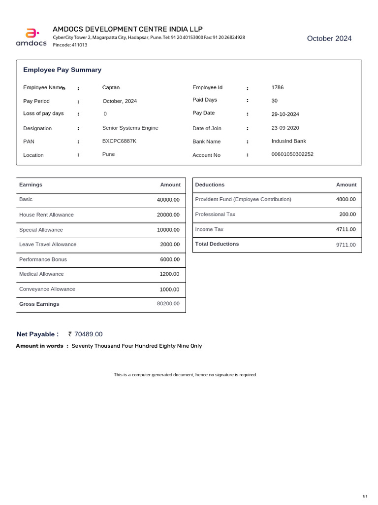 Employee Pay Summary for October 2024 | PDF
