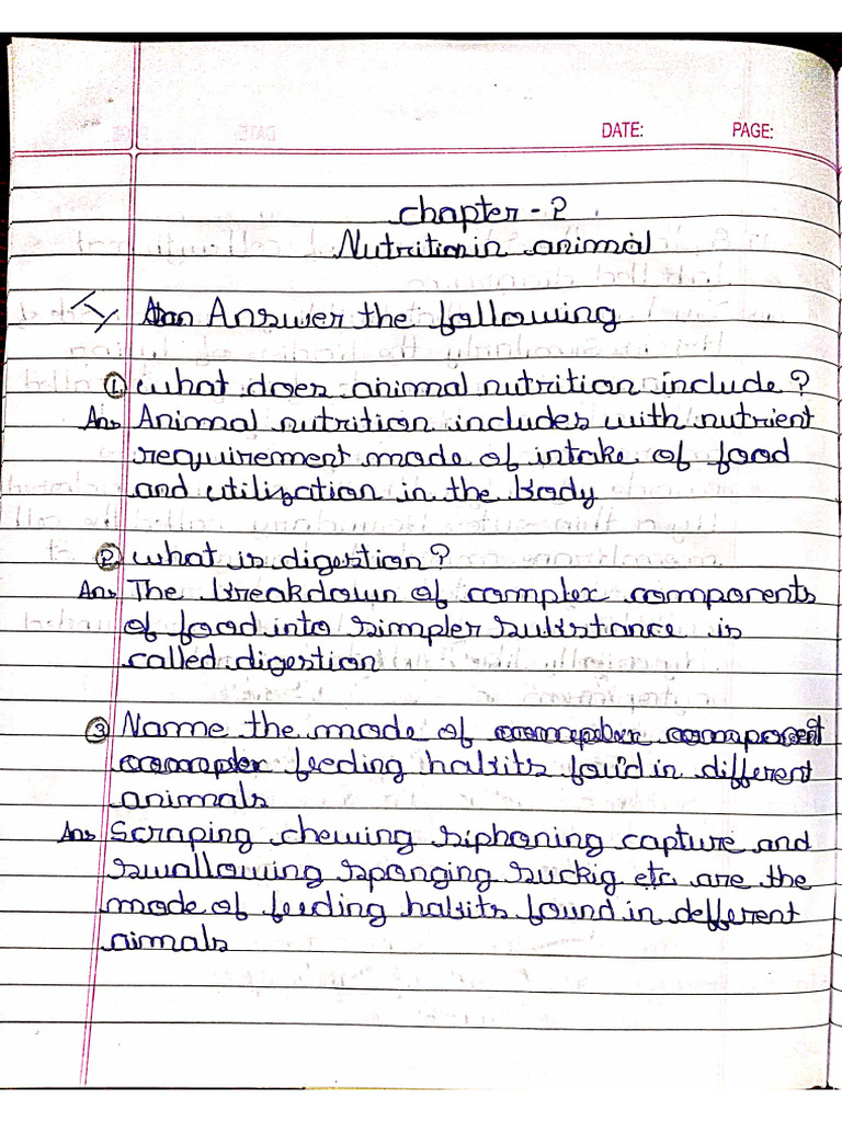 Supreeth A Raj | PDF