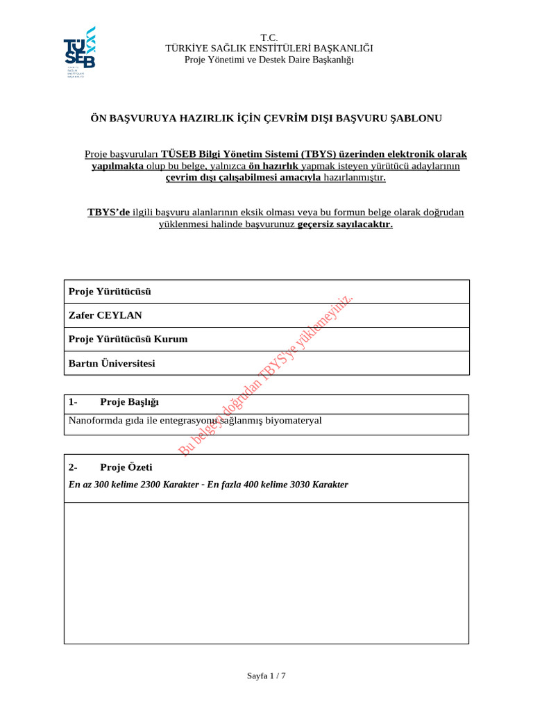 On Basvuruya Hazirlik Icin Cevrim Disi Basvuru Sablonu | PDF