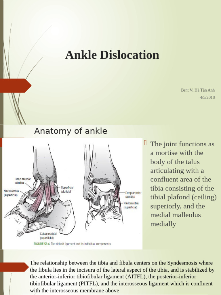 Ankle Dislocation | PDF | Ankle | Musculoskeletal System