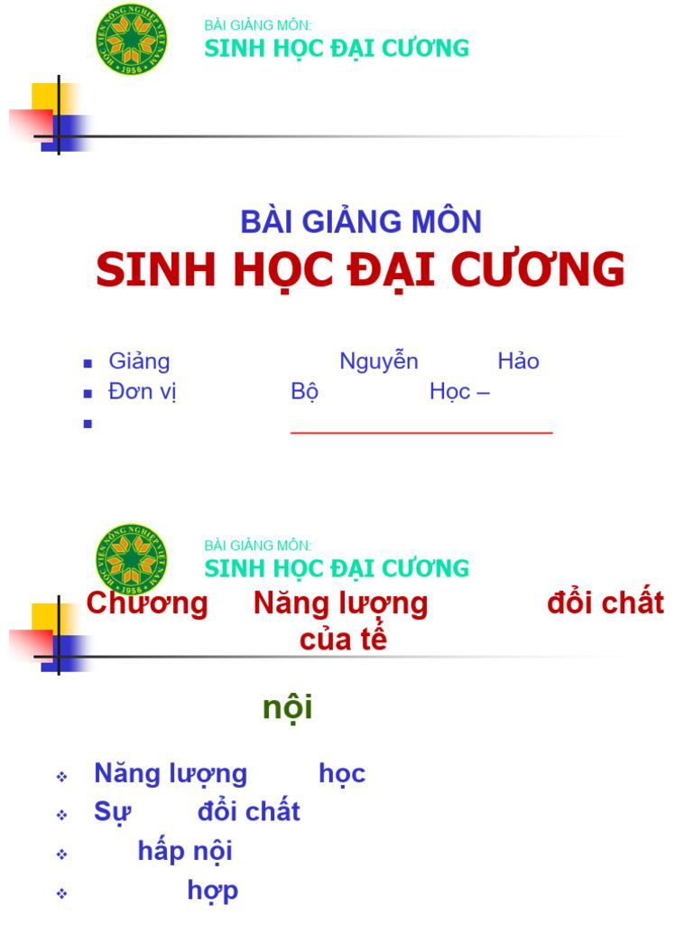 Shdc. Chuong 2 | PDF