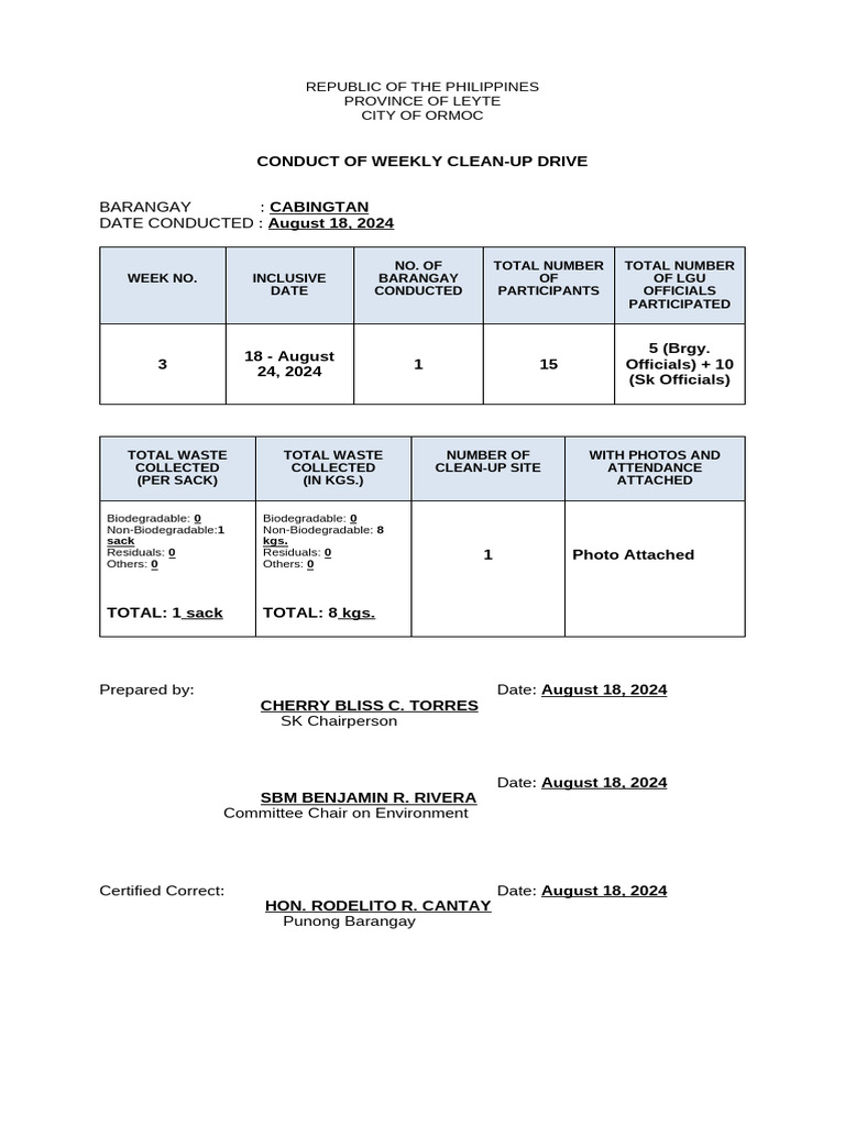Clean Up Drive New Format August 18, 2024 | PDF
