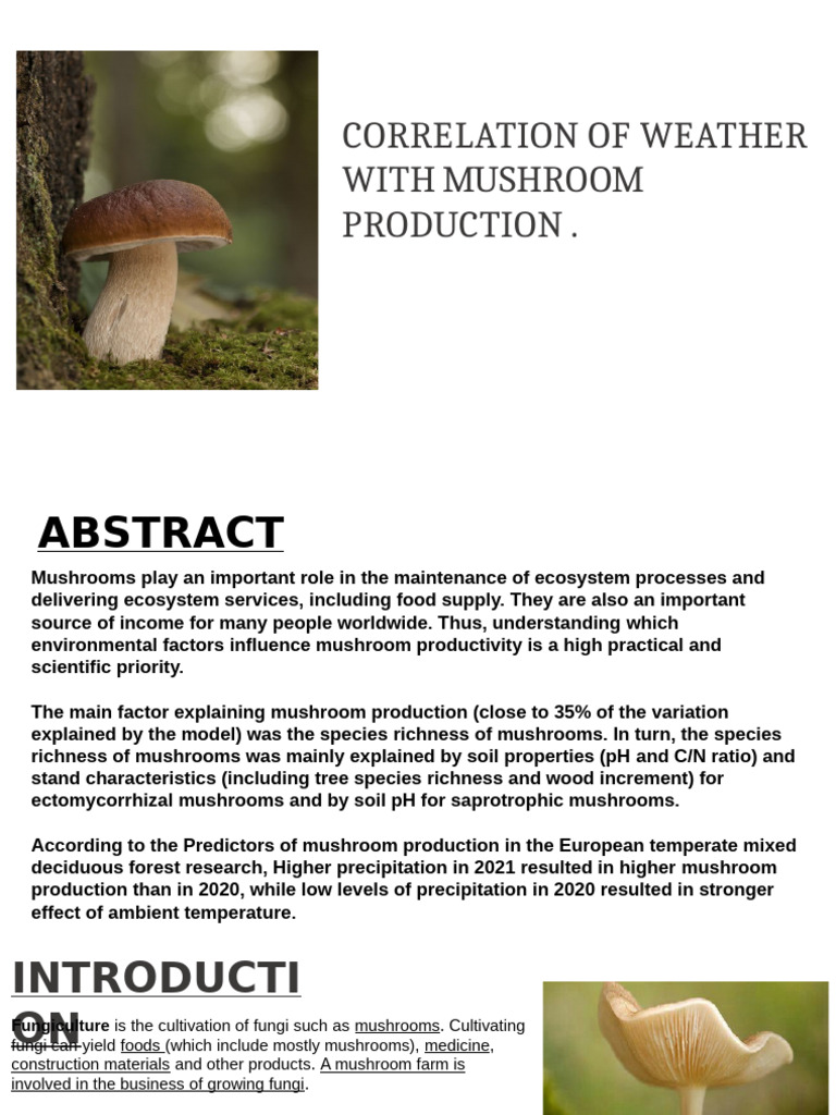 Mushroom 12 | PDF | Biology | Earth Sciences