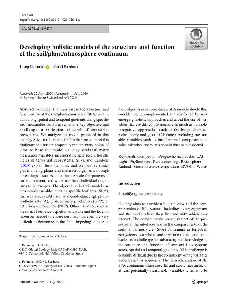 Developing Holistic Models of The Structure and Function of The Soi ...