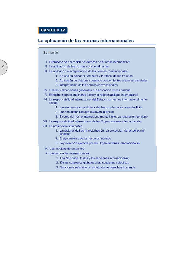 Capítulo IV. La Aplicación de Las Normas Internacionales | PDF ...