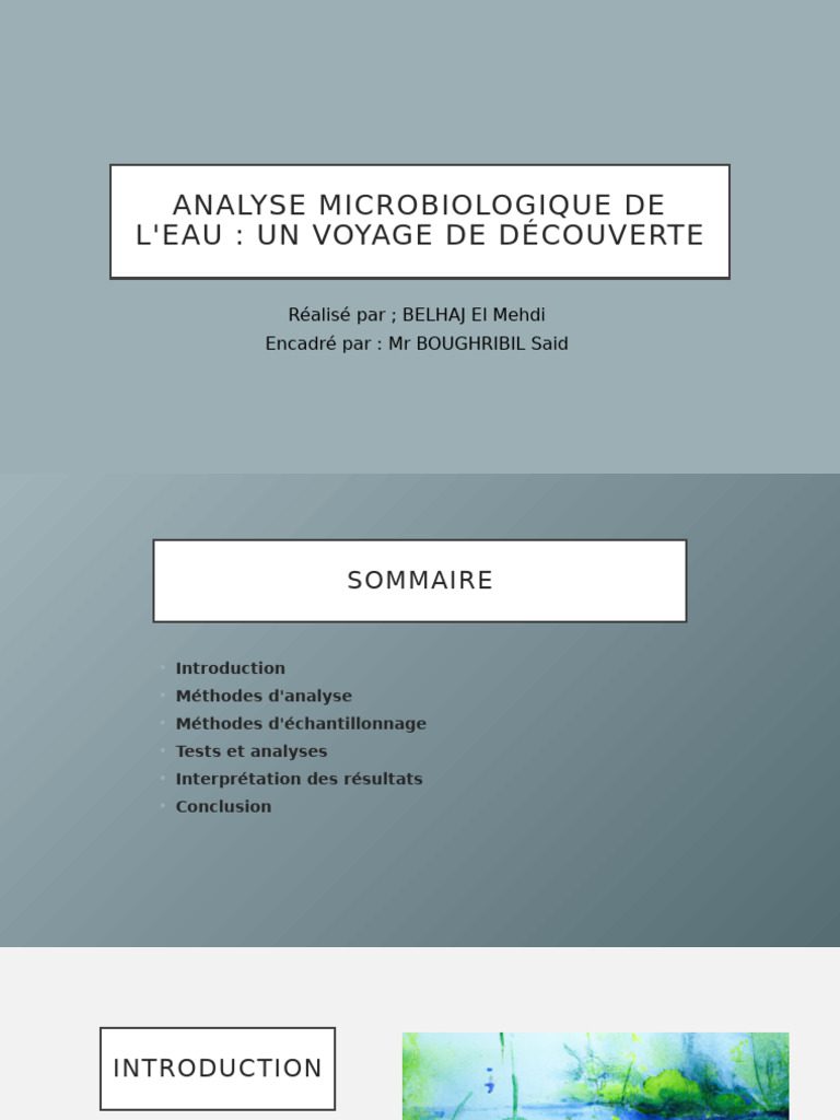 Analyse Microbiologique de l'Eau | PDF
