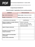 BTS MCO 2024 - Compte-Rendu D'activite - ADOC E42 - Annexe 9 | PDF
