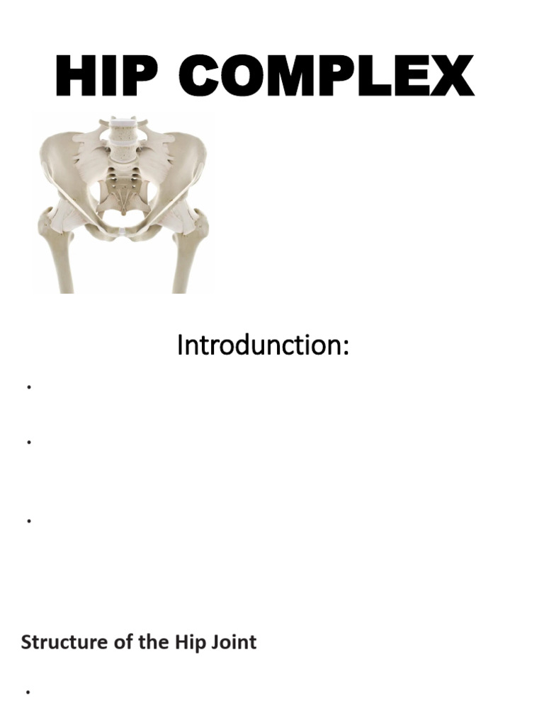 Understanding the Hip Complex | PDF | Pelvis | Hip