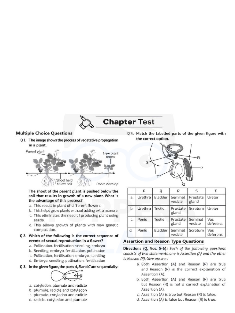 CH 7 How Do Organisms Reproduce | PDF