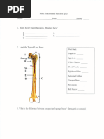 Skeletal System 100 MCQs With Answers | PDF | Bone | Skeleton