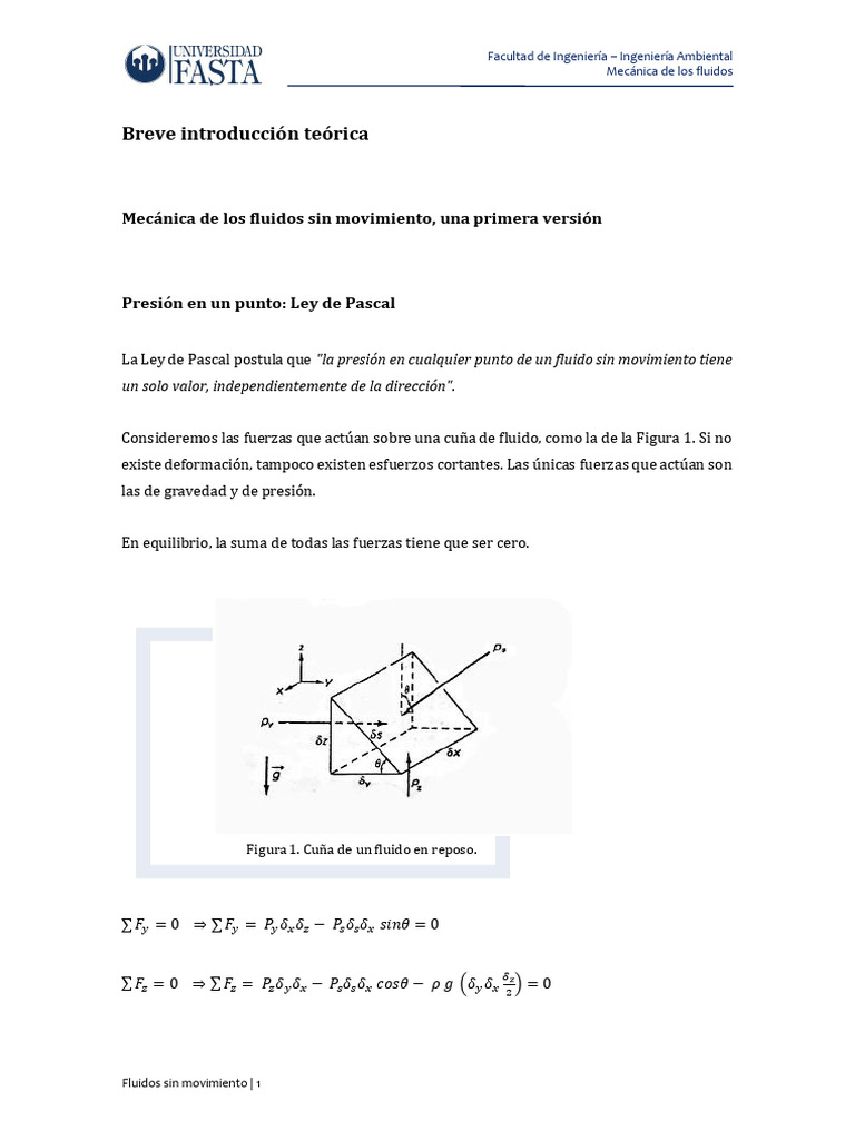 1MFL_Teoría_Pascal y presión | PDF | Presión | Mecánica de fluidos