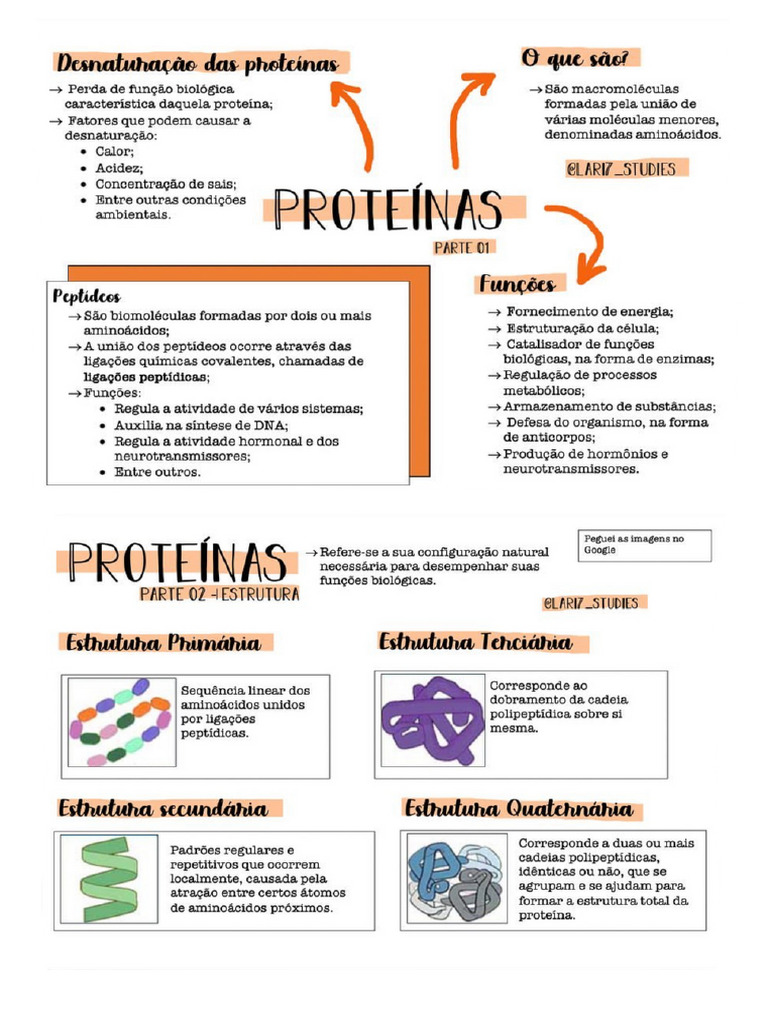 Resumo em Formato Horizontal Sobre As Proteínas | PDF