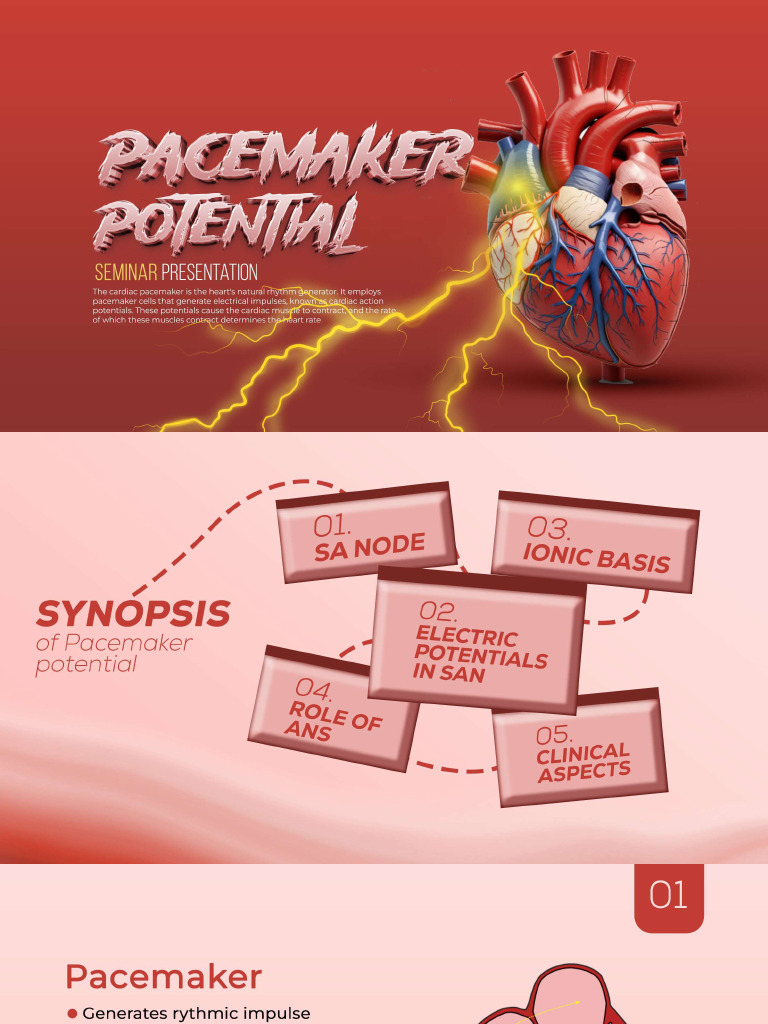 Pacemaker Potential | PDF
