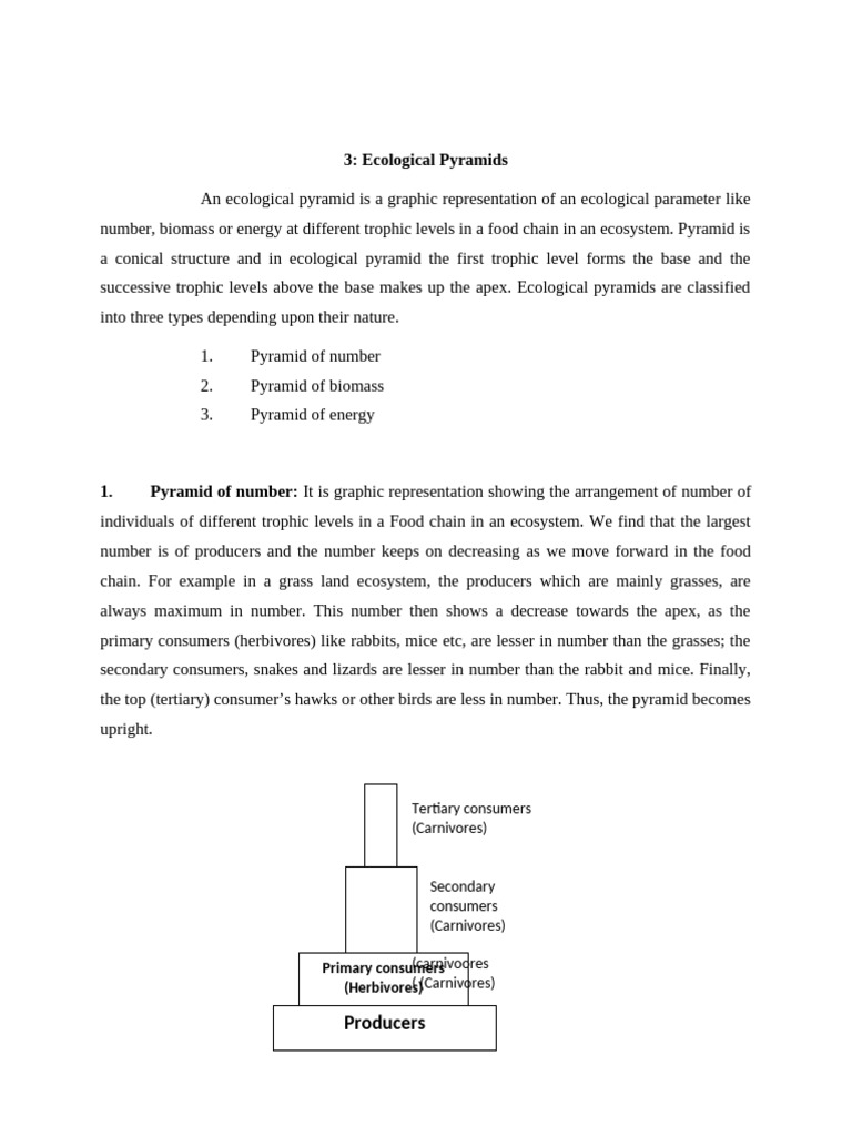 Module 3 Ecological Pyramids | PDF | Food Web | Biomass (Ecology)