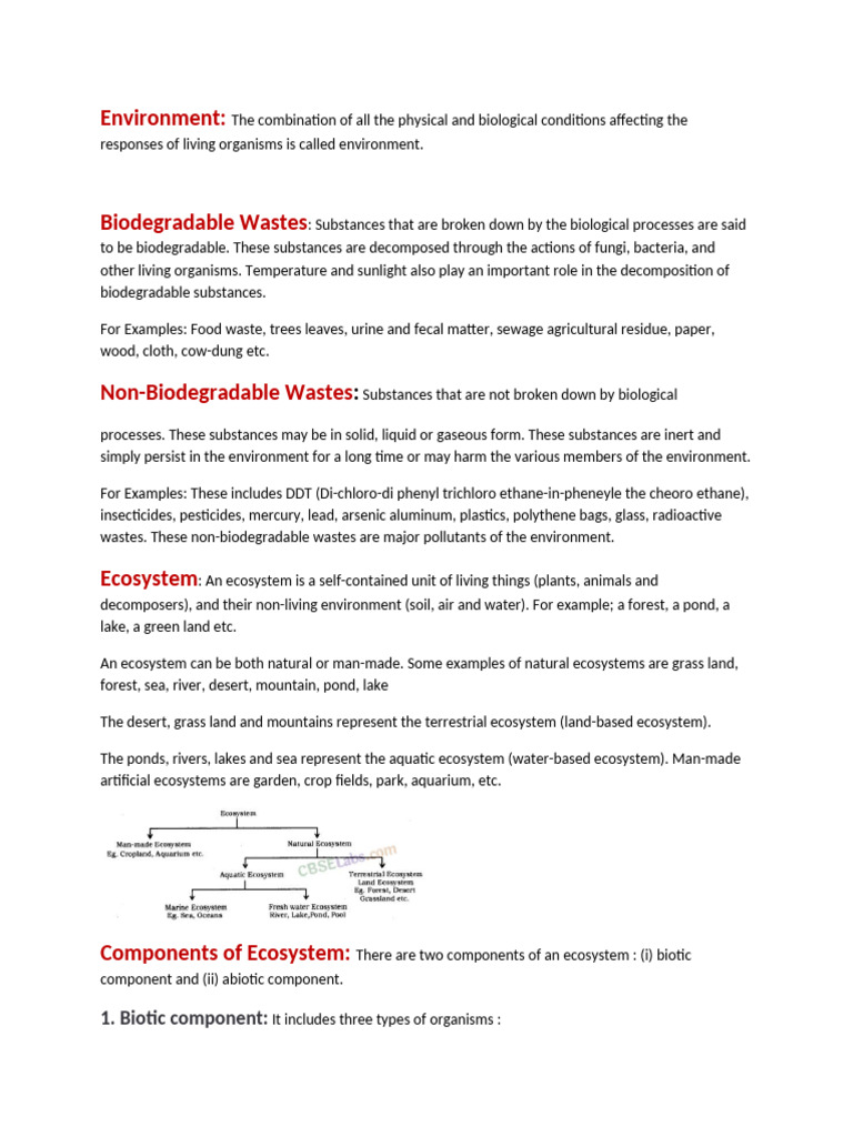 Our Environment Class 10 | PDF | Food Web | Ecosystem