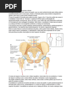 Osso Fêmur - Anatomia Papel e Caneta | PDF | Quadril | Osso