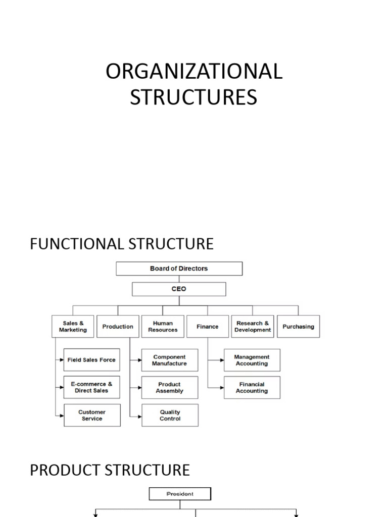 Organizational Structures 1 | PDF