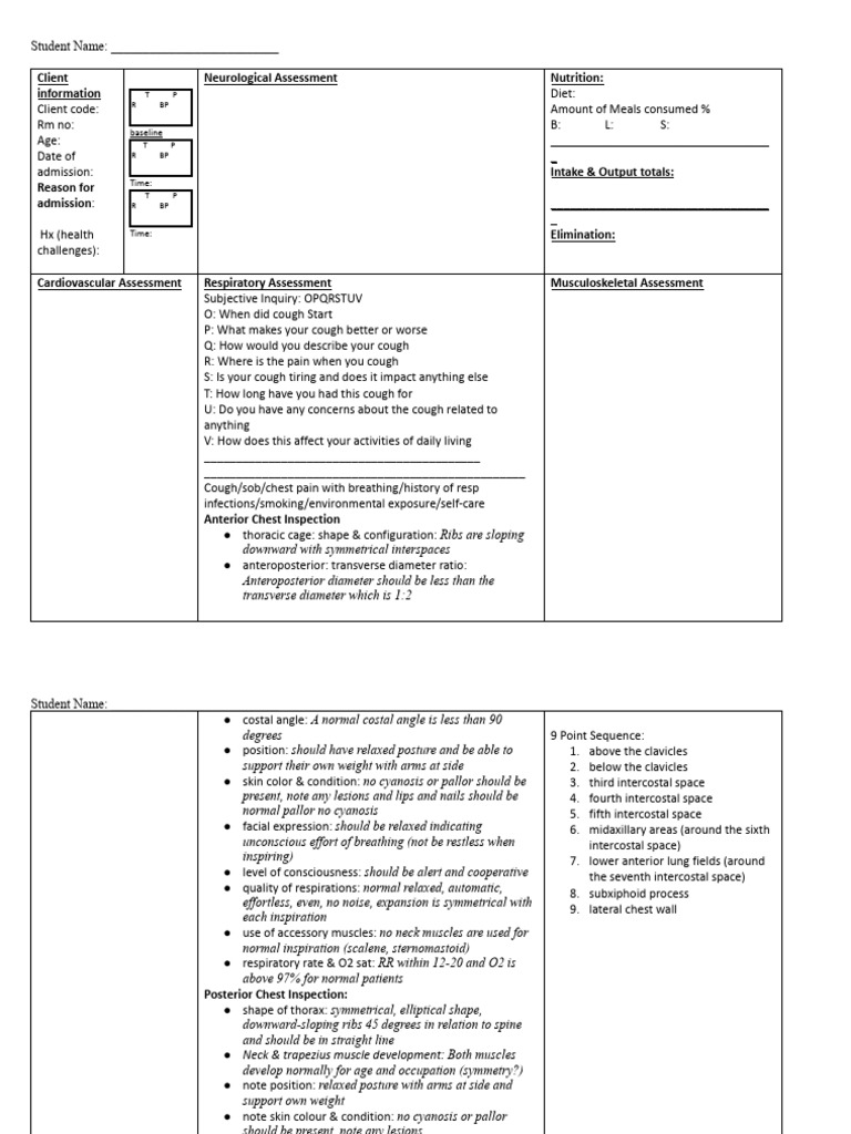 Respiratory Worksheet Lab | PDF | Thorax | Respiratory Tract