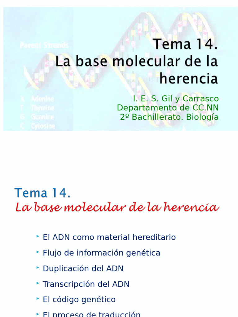ADN y Flujo Genético: Replicación y Transcripción | PDF | Replicación ...