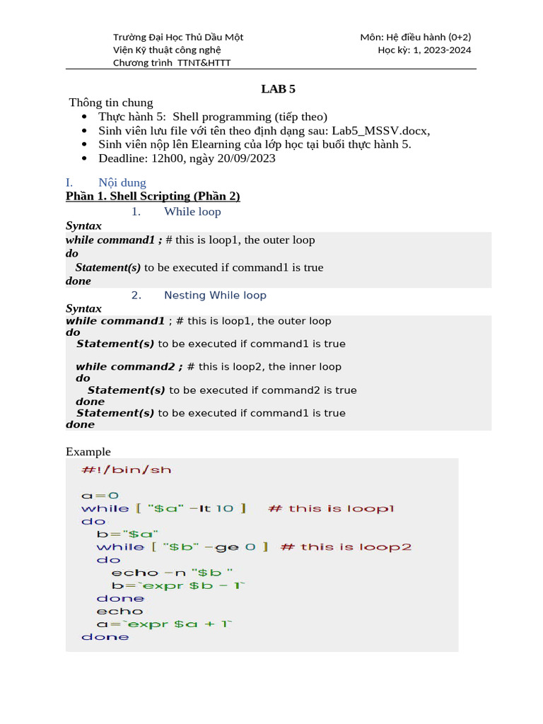 Lab 5 - Lap Trinh Shell-Loop | PDF